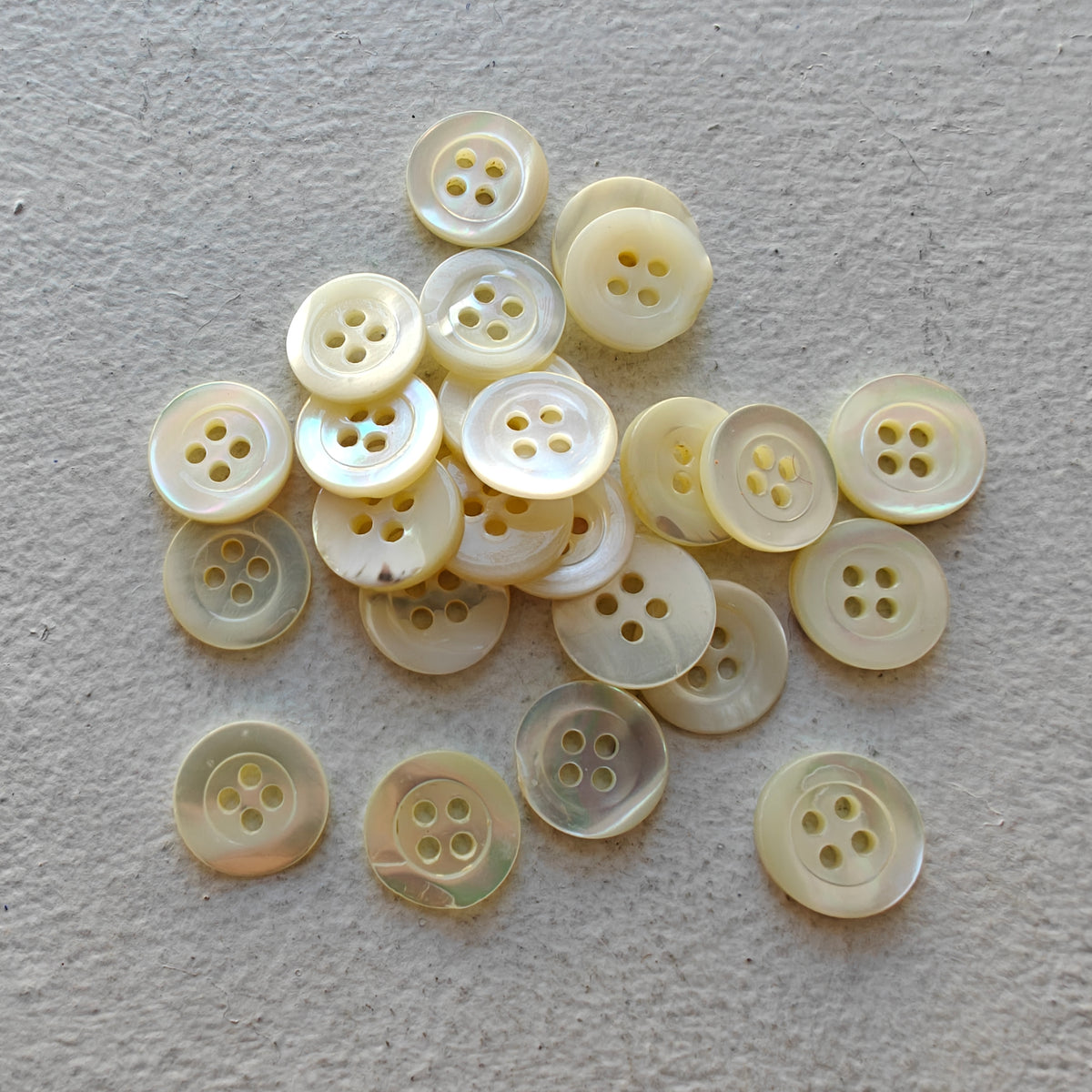CREAM SEASHELL INSPIRED BUTTONS 151 :: 13mm– Ginger Twist Studio